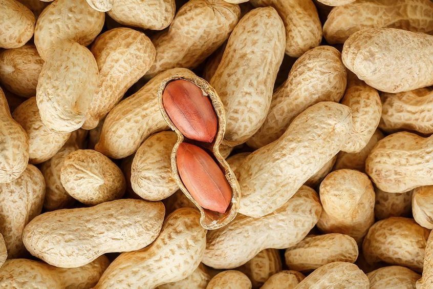 Benefits of Peanuts for Diet | Groundnuts for Weight Loss